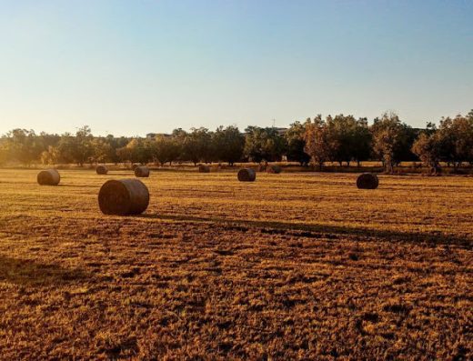 Spa Maria - The Spa Guide SA